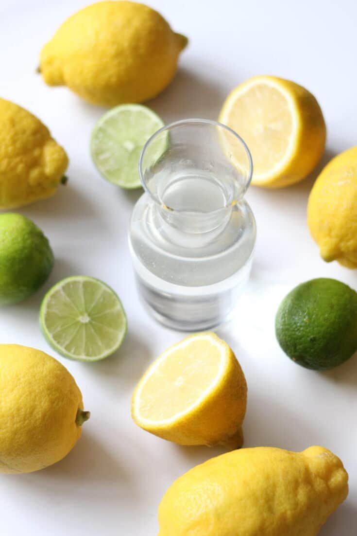 Summertime Limeonade Recipe - BriGeeski