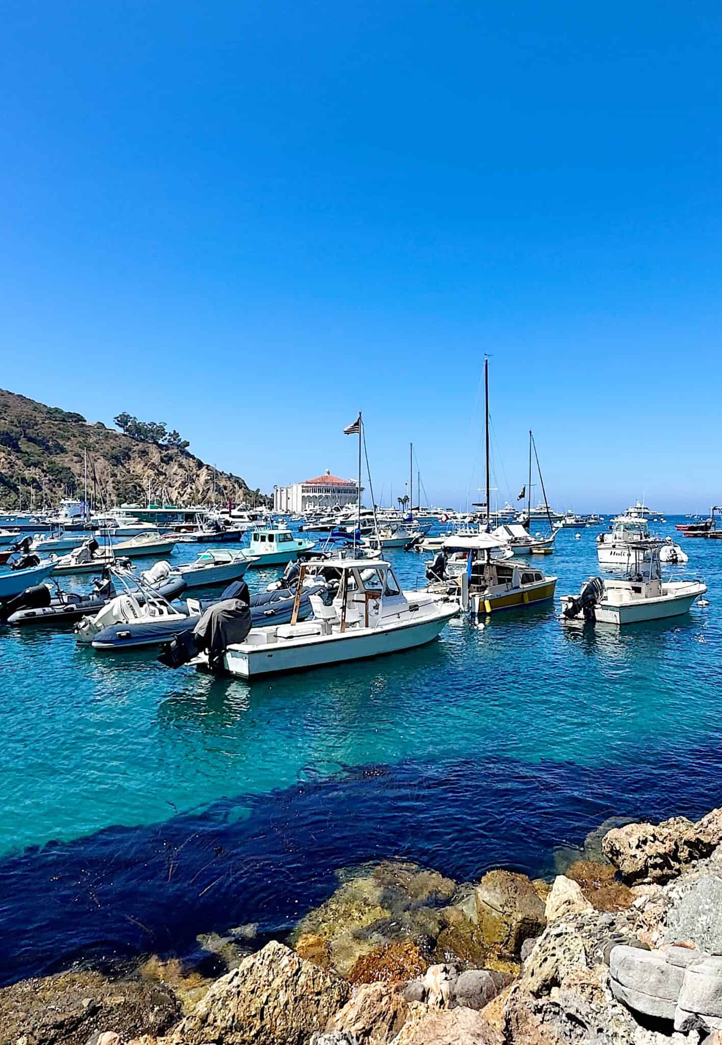 Things To Do in Catalina - BriGeeski