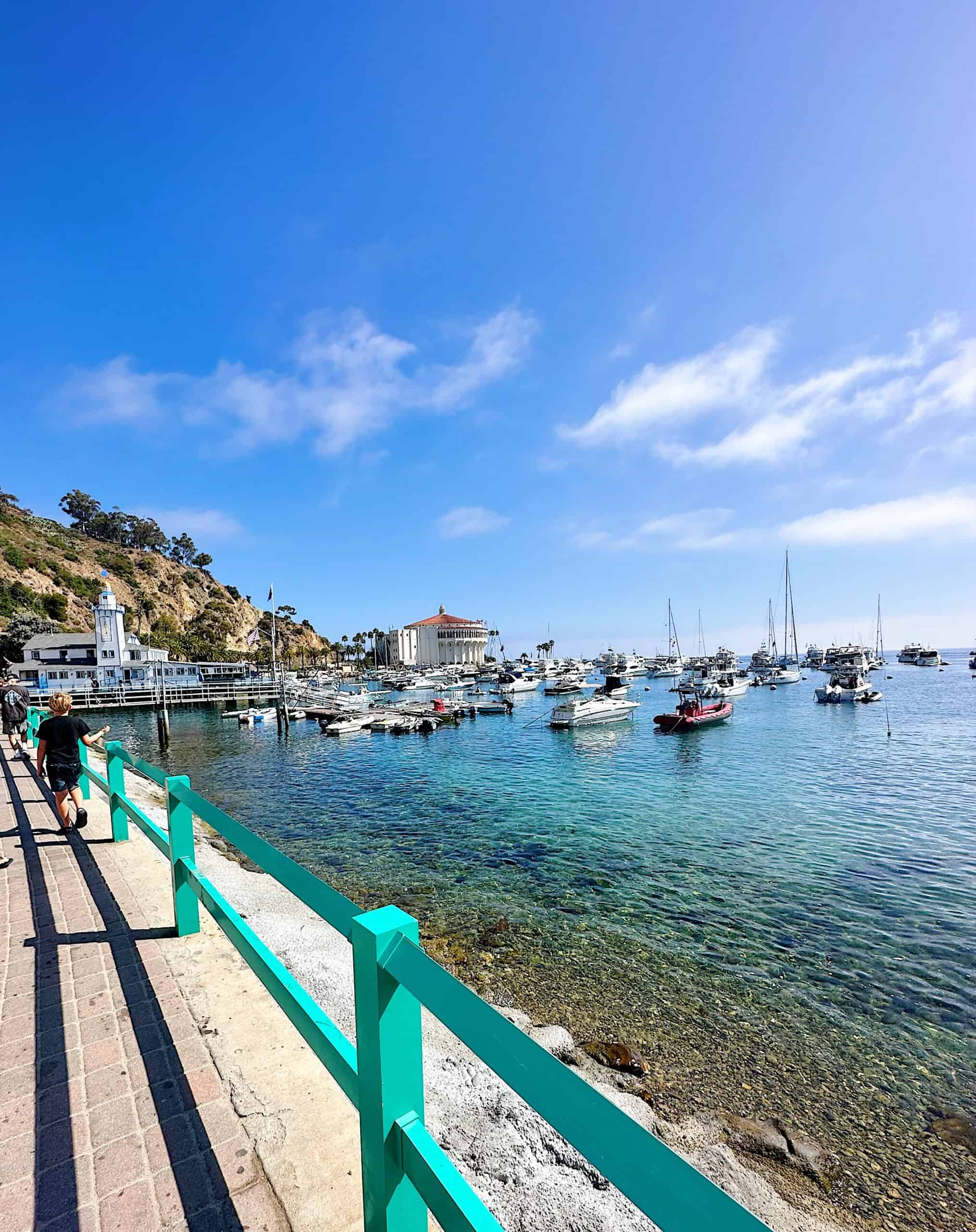 Things To Do in Catalina - BriGeeski