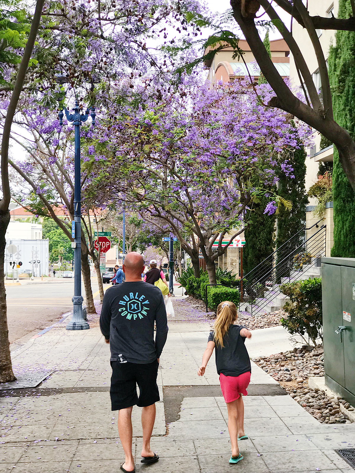 Family Staycation in Little Italy - BriGeeski
