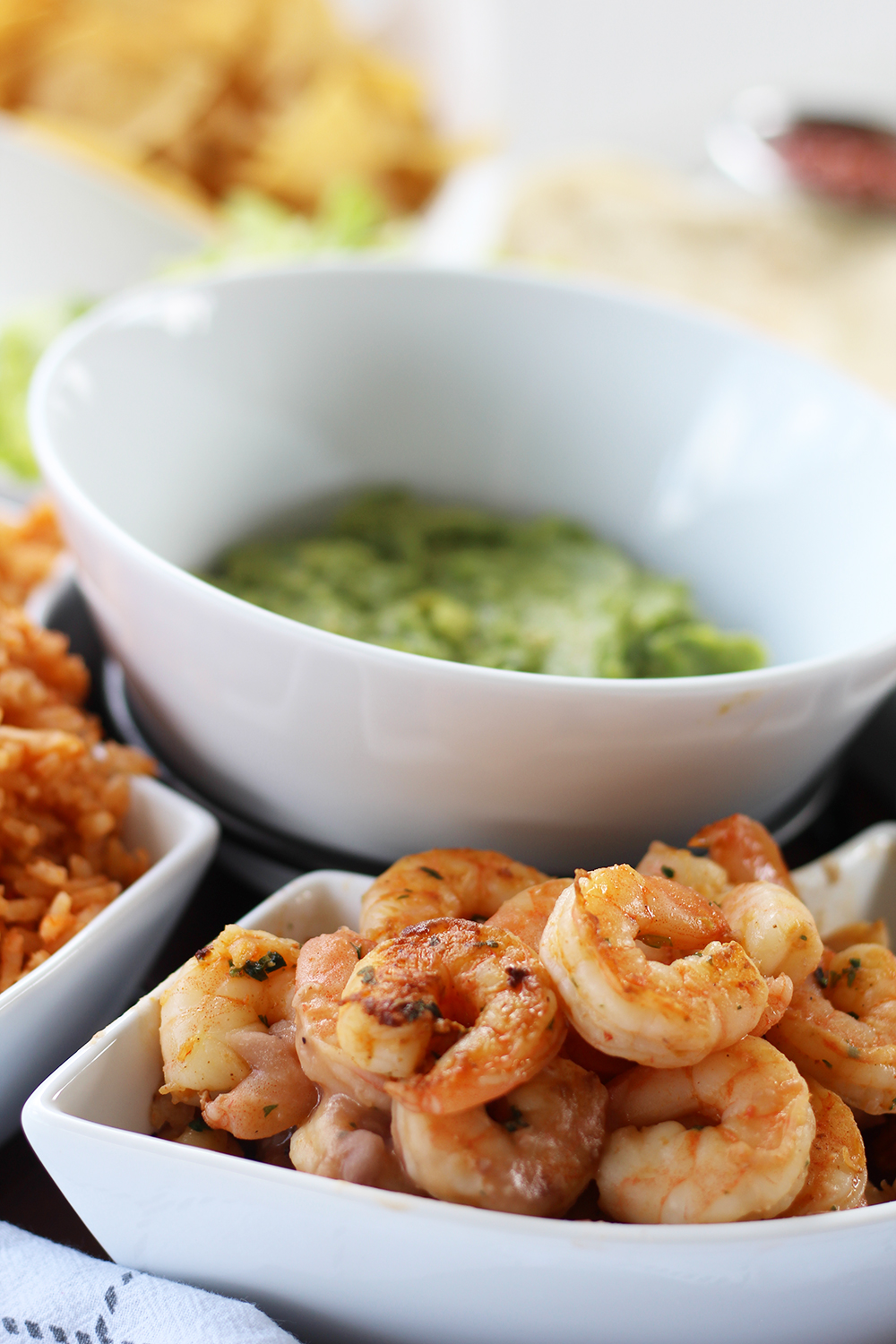 Rubio's Family Taco Kit - BriGeeski