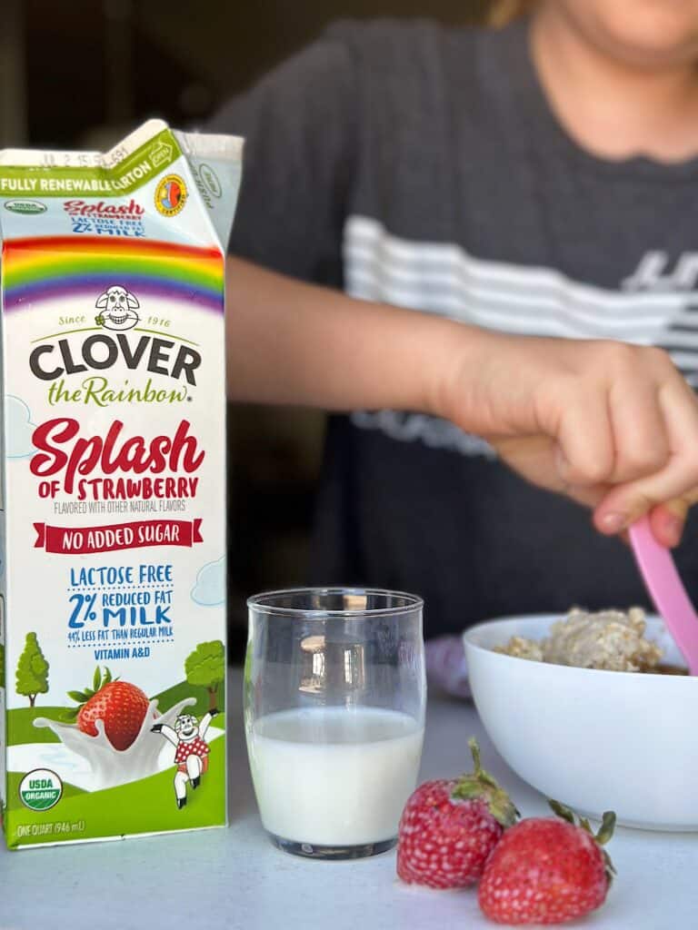 3 Simple Breakfast Ideas for Kids - BriGeeski