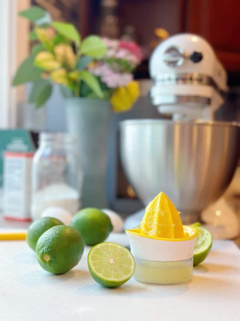 Easy Lime Bars - BriGeeski
