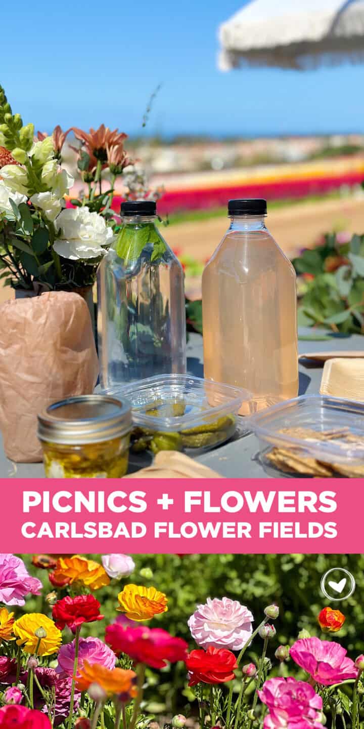 Picnics and Flowers at the Carlsbad Flower Fields - BriGeeski