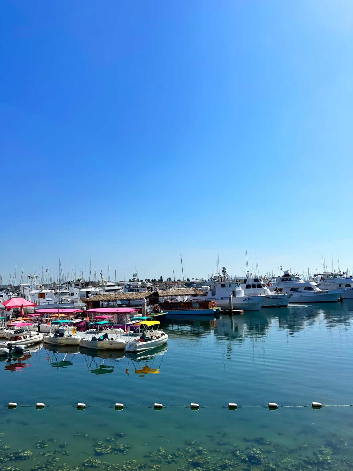 Tiki Boat! Tiki Time Bay Tours in San Diego - BriGeeski