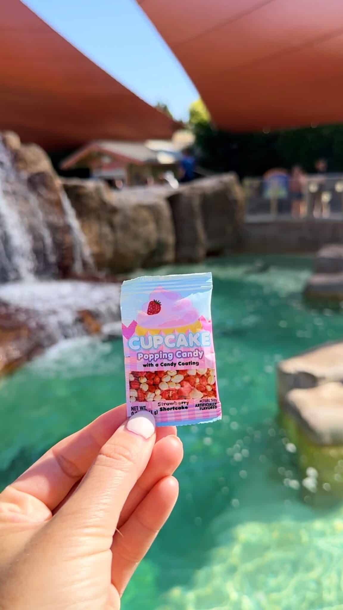 Seaworld Halloween Spooktacular - BriGeeski