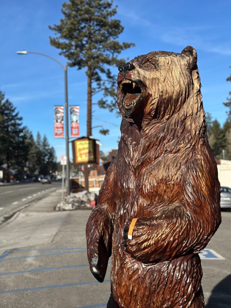 Things To Do in Big Bear - BriGeeski